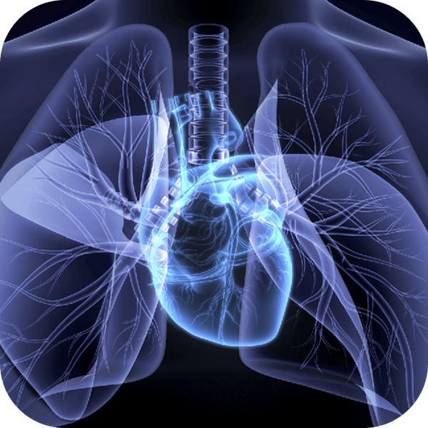 Ultromics announces partnership to expedite development of Echo AI ... Ultromics announces partnership to expedite development of Echo AI ...