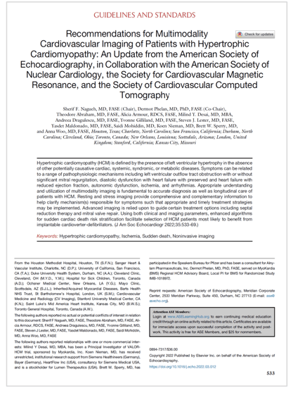 The value of strain in echocardiography: what the guidelines say ...