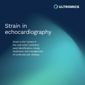 The value of strain in echocardiography: what the guidelines say ...