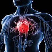 2022 AHA/ACC/HFSA heart failure guidelines emphasize prevention - Ultromics