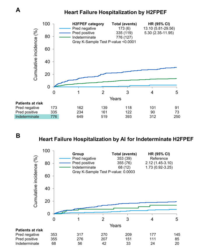Automated Echocardiographic Detection of HFpEF Using AI Is Associated ...